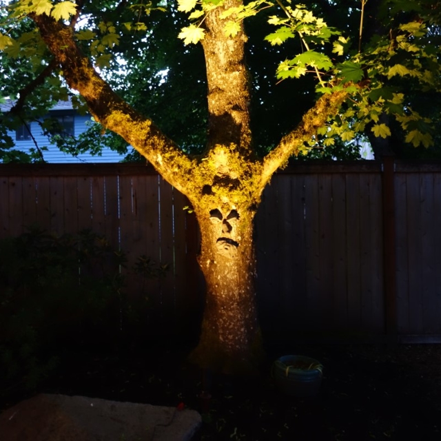 Puget Sound Lighting Services | Outdoor Lighting Perspectives of Puget ...