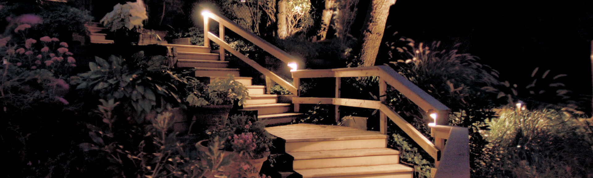 String Lighting in Baltimore, MD | Outdoor Lighting Perspectives