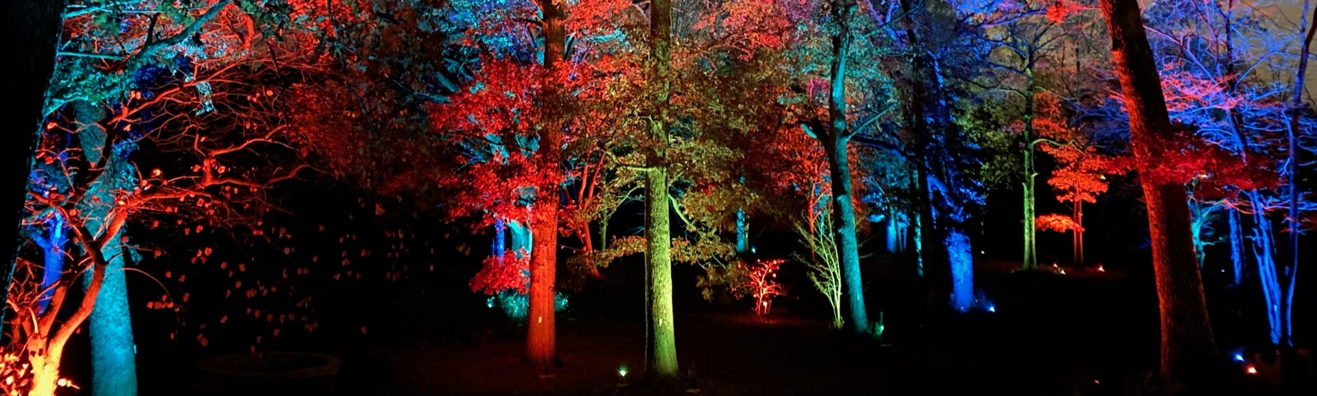 Color Changing Lighting | Outdoor Lighting Perspectives